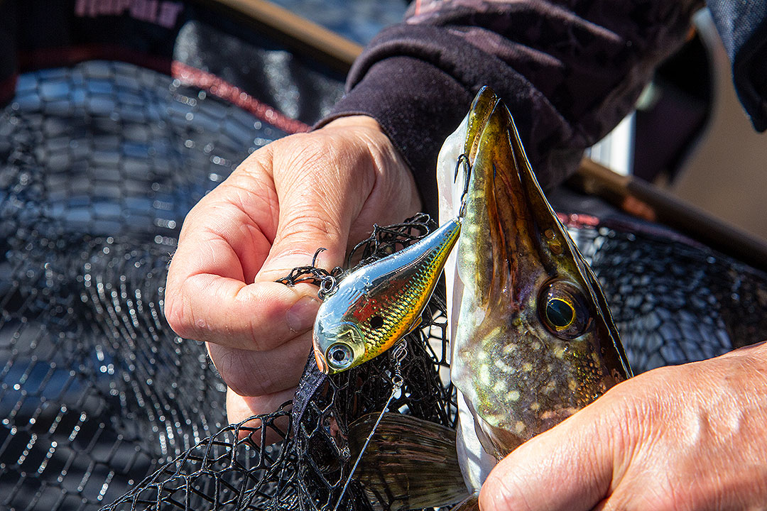 Fishing facts - Fishing in Finland